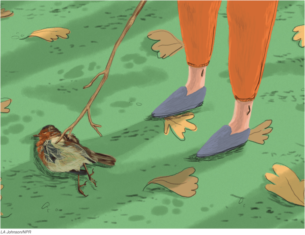 NPR Story: How to Discuss Death with Children | A Good Goodbye ...