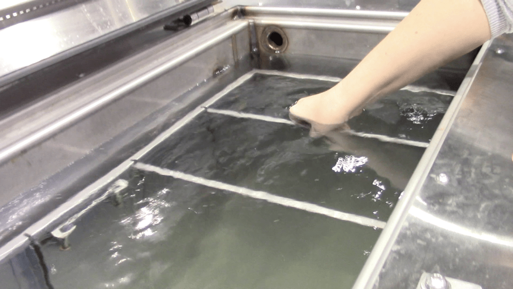 The Latest On Alkaline Hydrolysis For People And Pets A Good Goodbye the-latest-on-alkaline-hydrolysis-for-people-and-pets-a-good-goodbye